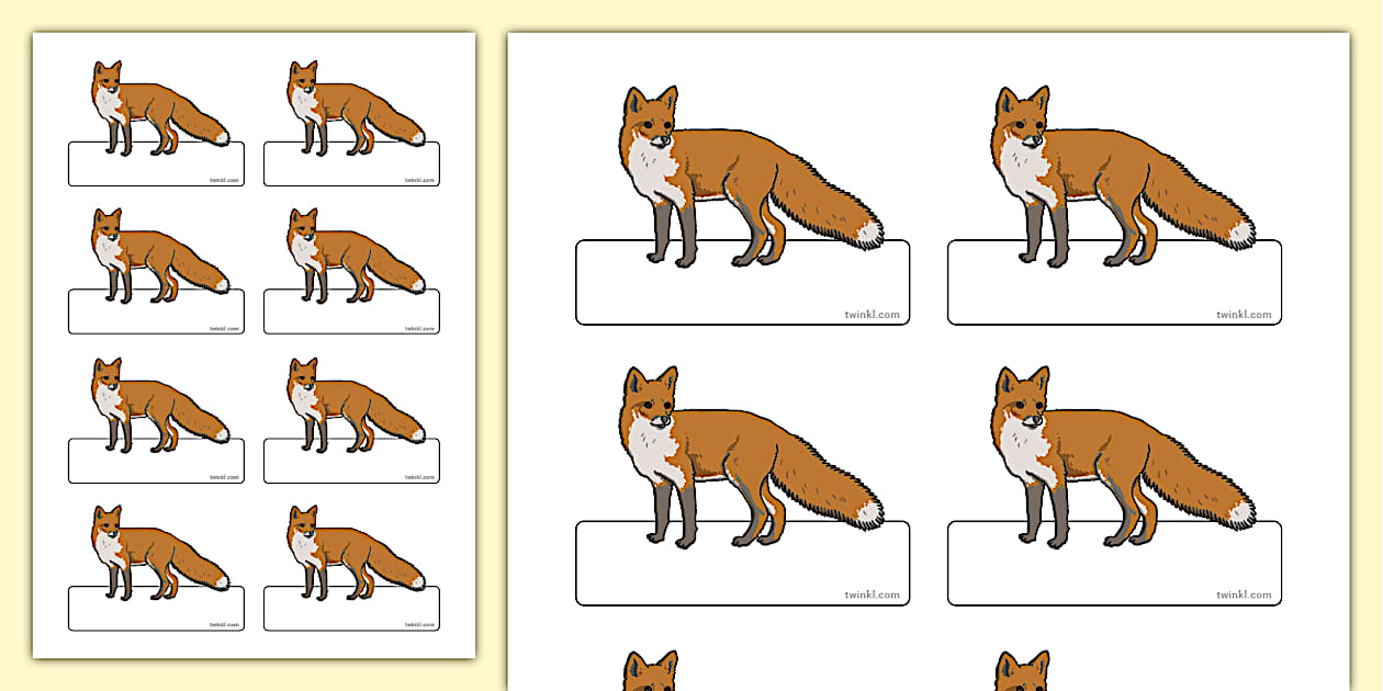 Fox Themed Registration Labels - Twinkl