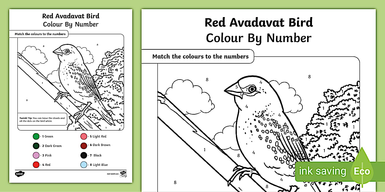 Red Avadavat Bird Colour-by-Number Page | Twinkl | KS1