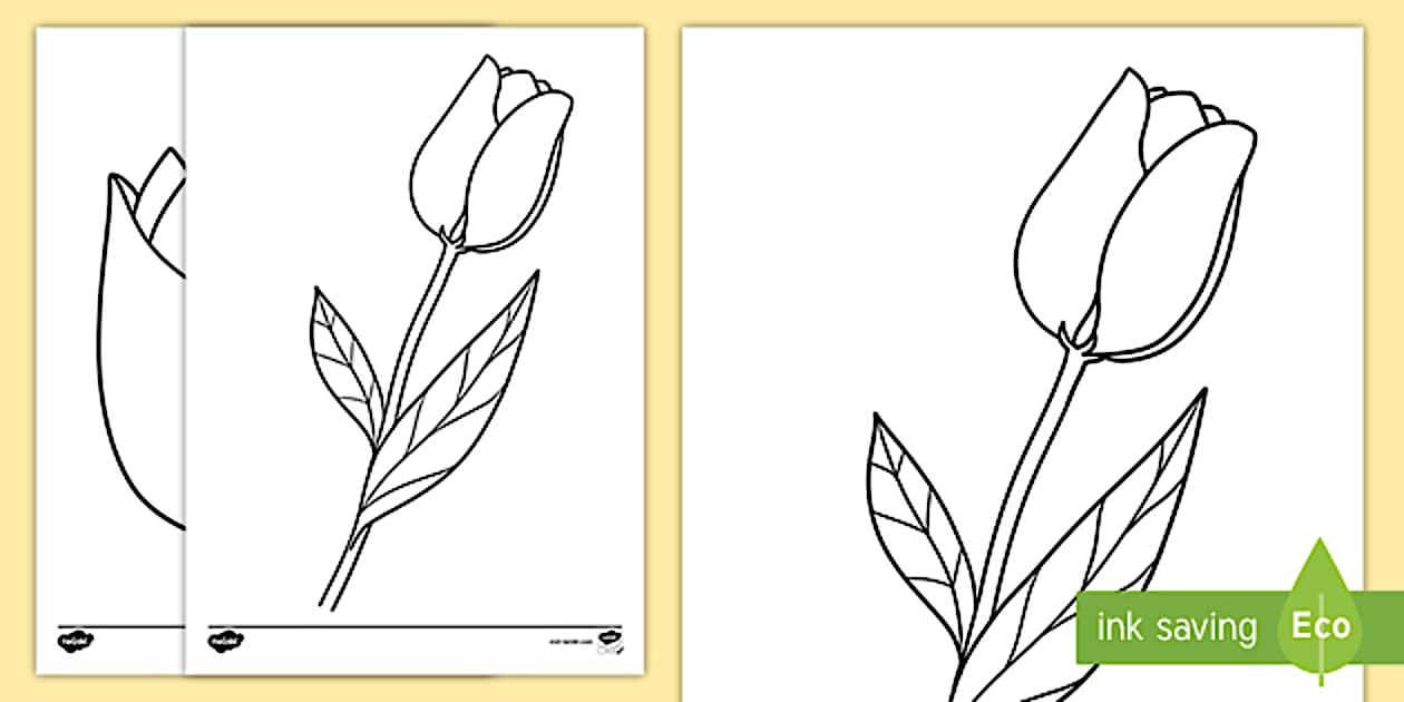 Tulp Sjabloon Kleurplaten (teacher made) - Twinkl