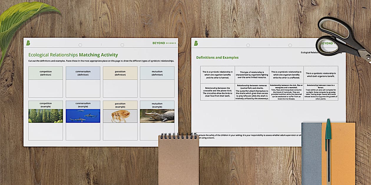 Ecological Relationships Matching Activity (teacher made)