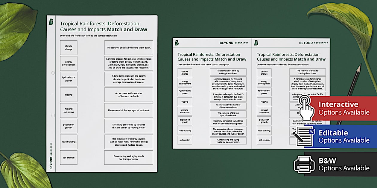 AQA GCSE Tropical Rainforests Match and Draw (teacher made)