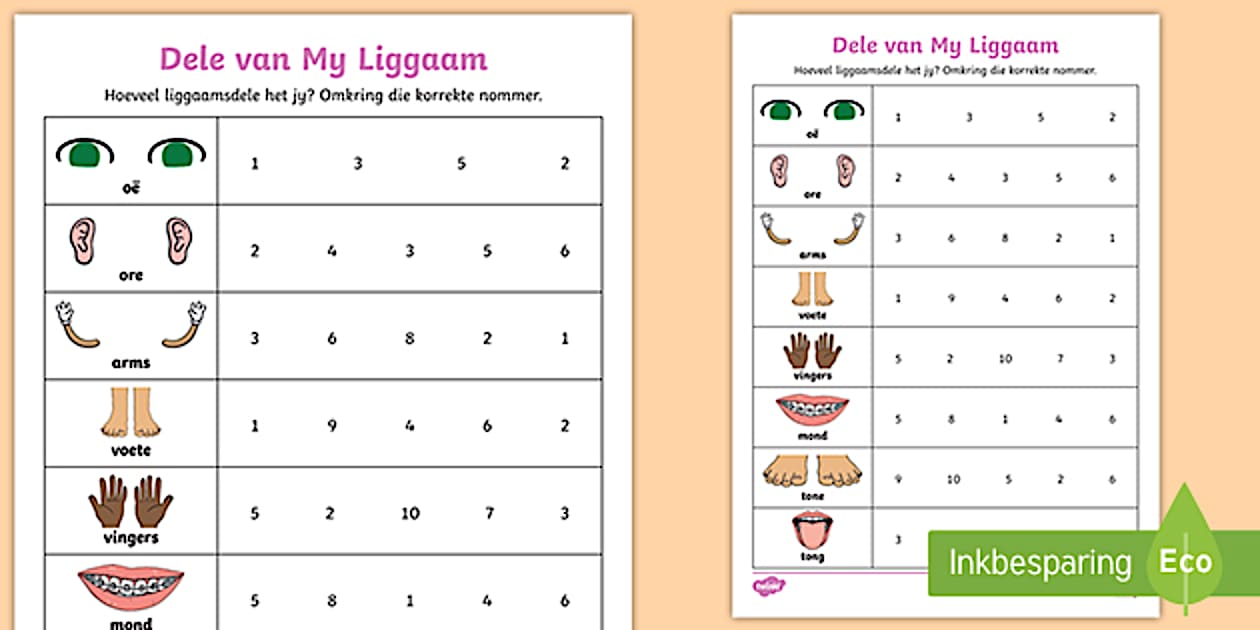 Dele van My Liggaam Aktiwiteit (Teacher-Made) - Twinkl