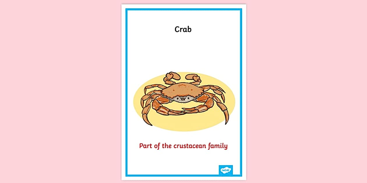 Crab Poster Display | Primary Resources (teacher made)