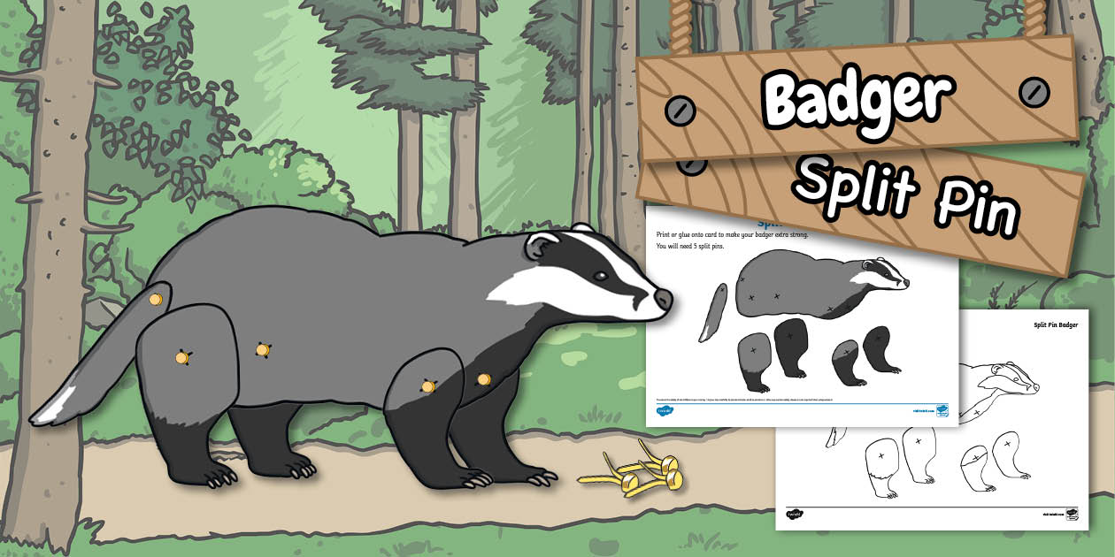 * NEW * Badger Split Pin Activity