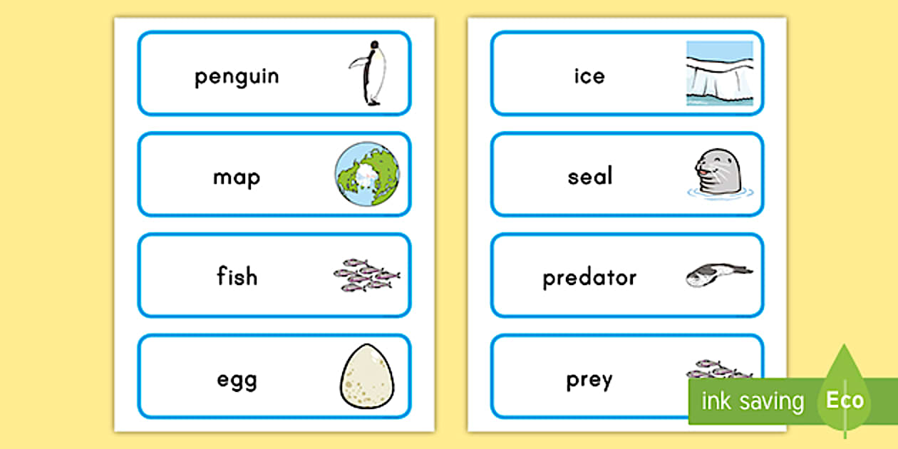 Penguin Word Cards (teacher made) - Twinkl