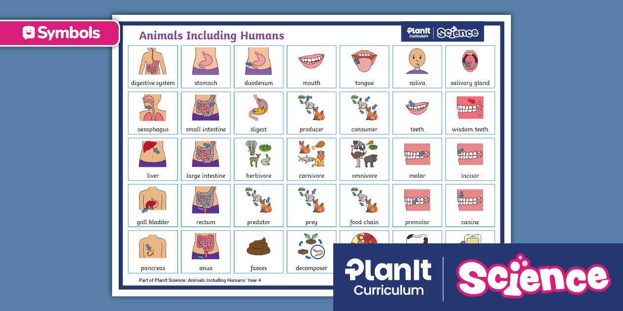 Twinkl Symbols: Animals Including Humans: Year 4: AAC Mat