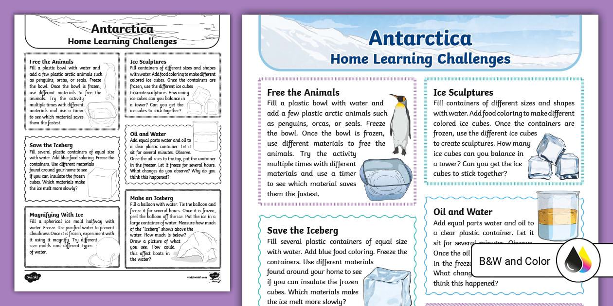 Antarctica Home Learning Challenges (teacher made) - Twinkl