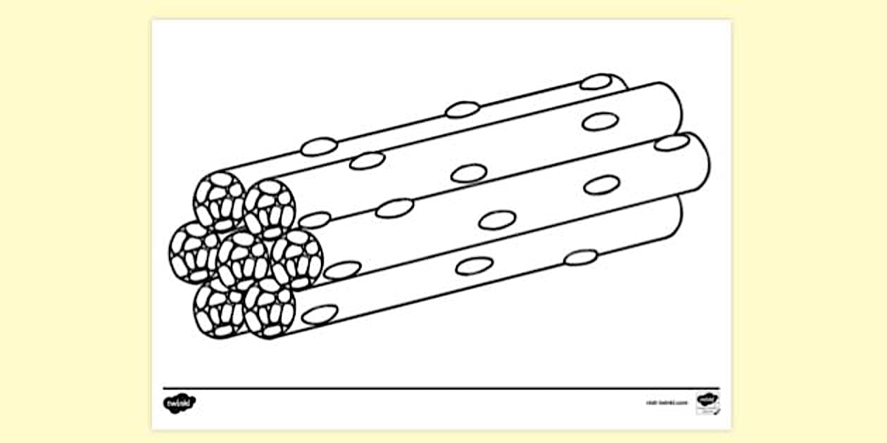 Colouring | Colouring Sheets (teacher made) - Twinkl