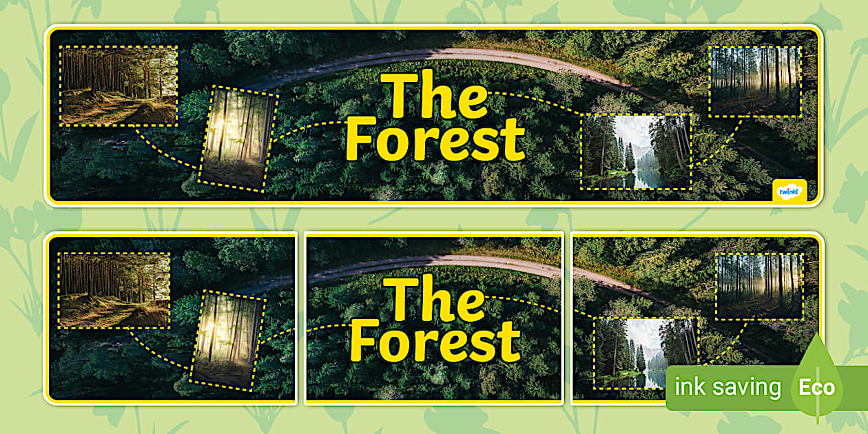 The Forest Photo Display Banner (teacher made) - Twinkl