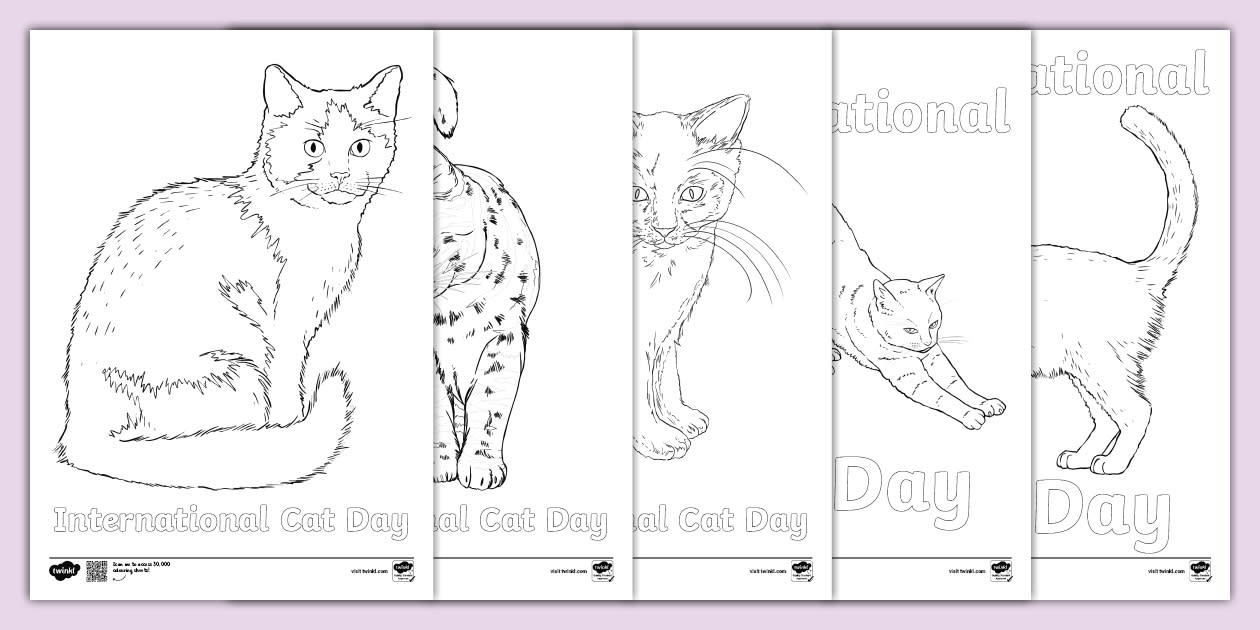 KS2 International Cat Day Colouring Pages (Teacher-Made)