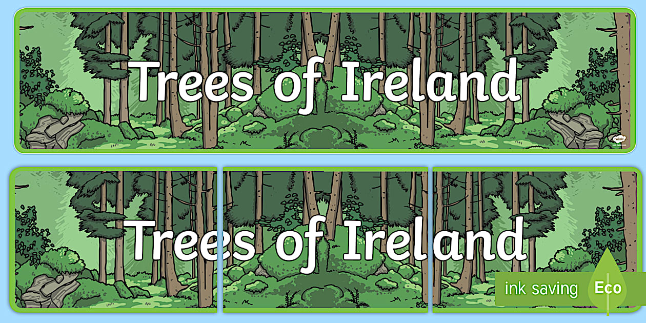 Trees of Ireland Display Banner (teacher made) - Twinkl