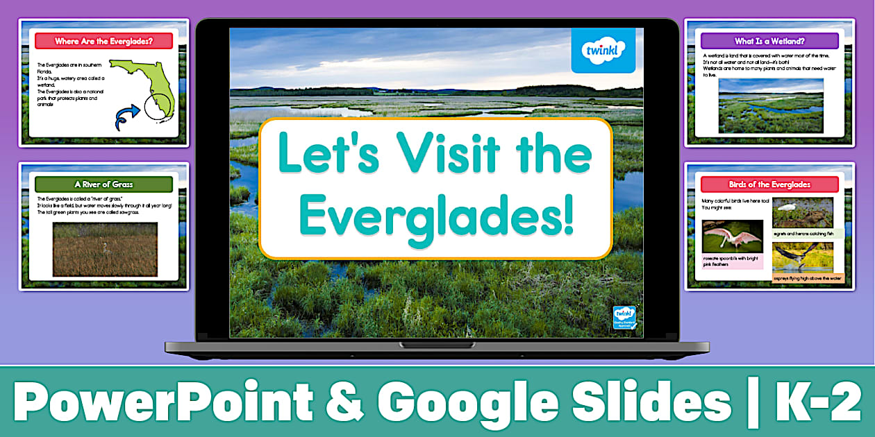 Let's Visit the Everglades!