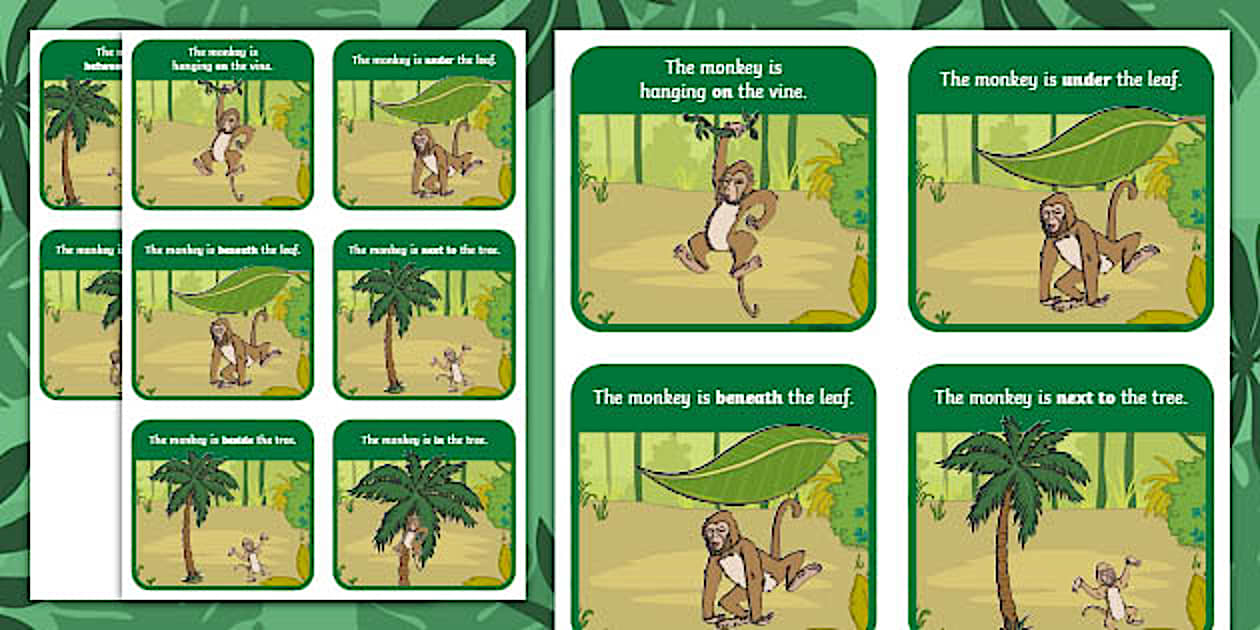 Monkey Positional Language Picture Cards | Twinkl - Twinkl