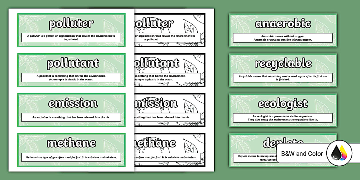 Environmental Science Vocabulary Cards