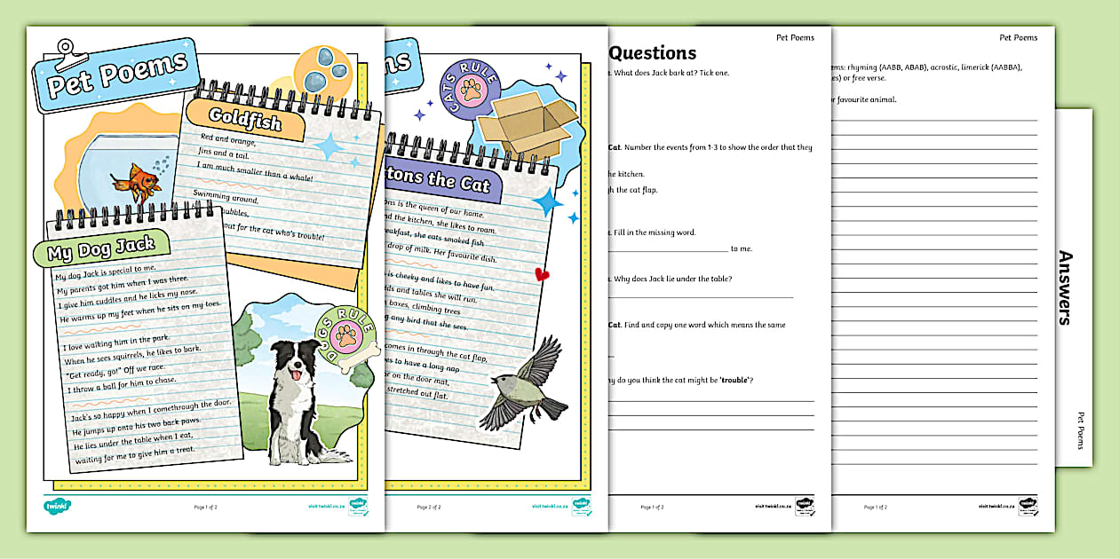 Gr 4: Extra Lessons: Eng: Pet Poems: Comprehension Activity