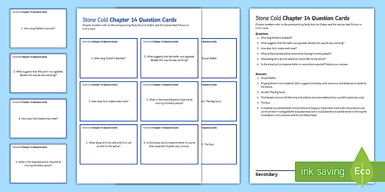 Chapter 14 Question Cards to Support Teaching on 'Stone Cold' by Robert