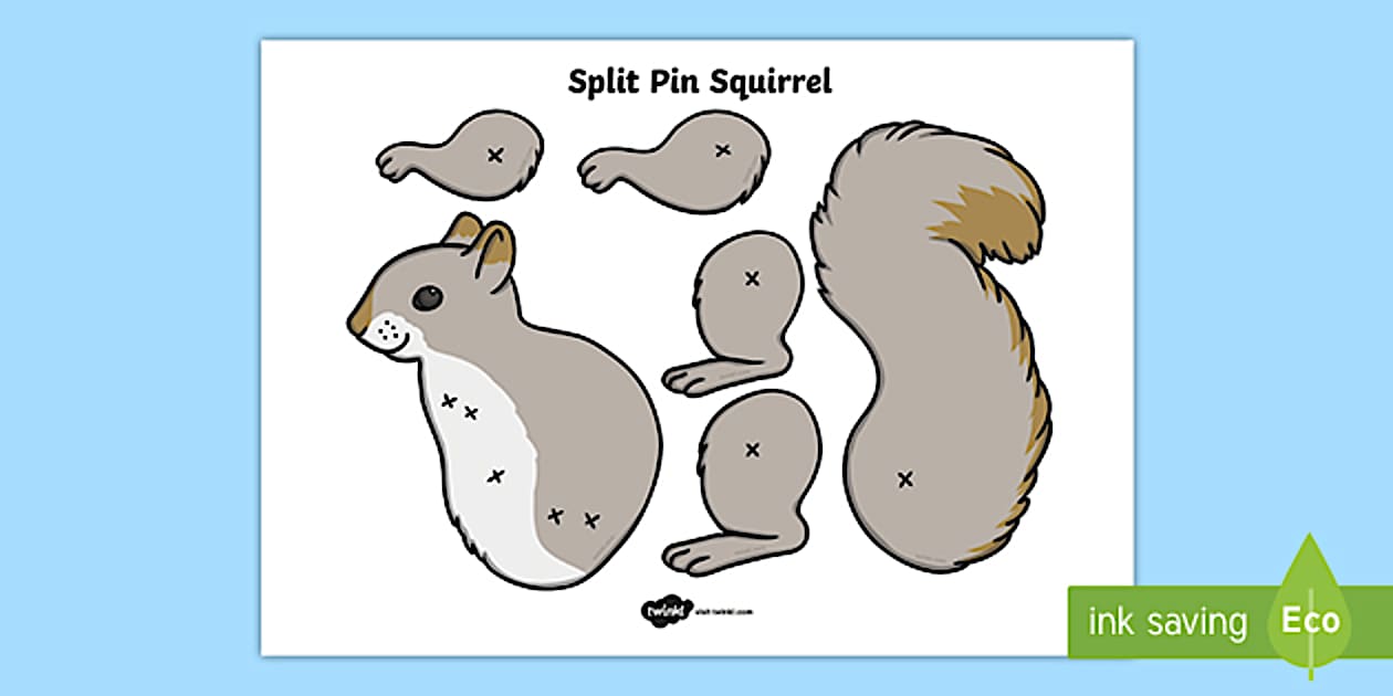 Squirrel Split Pin Activity (teacher made) - Twinkl