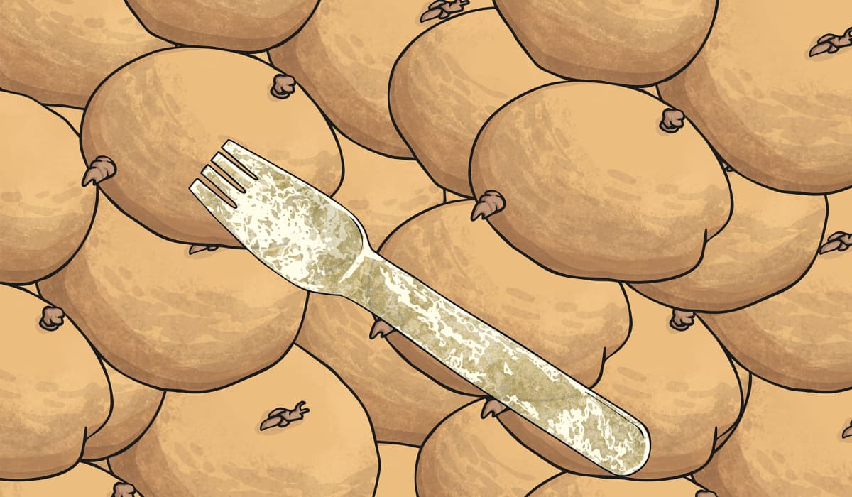 A-Peeling Invention! - Twinkl NewsRoom - Twinkl