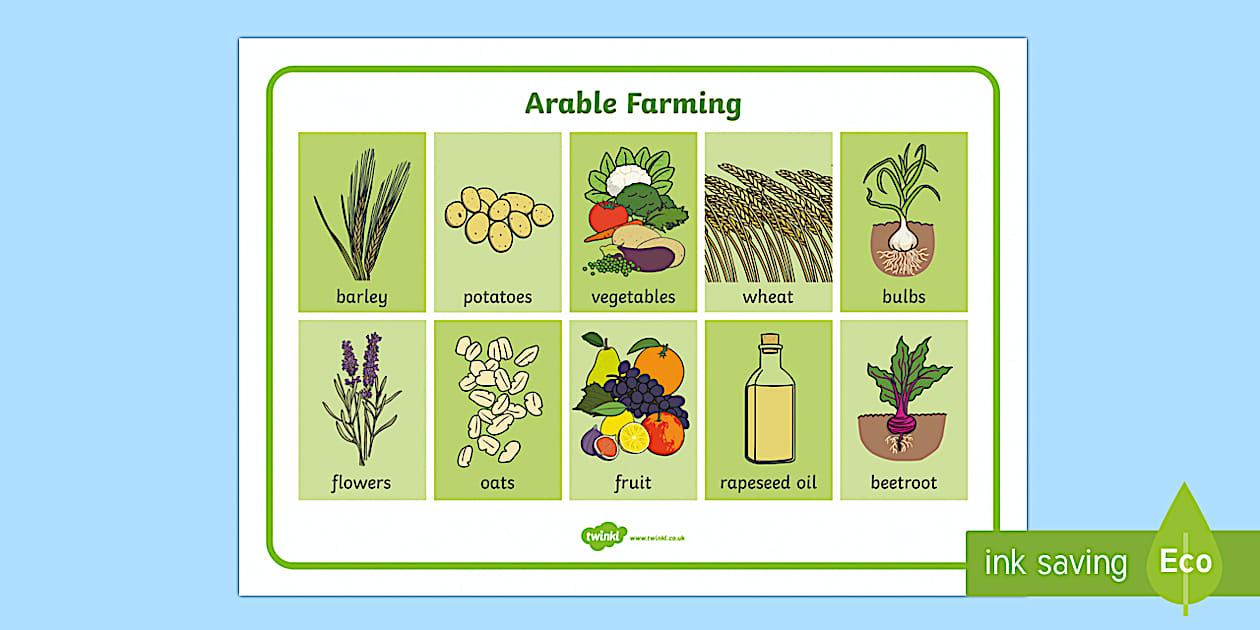 Arable Farming Word Mat - Twinkl