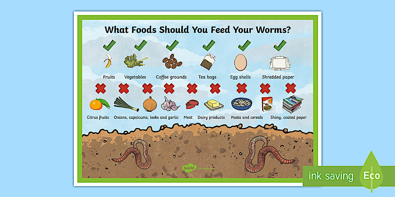 What to Feed Worms in a Worm Farm | Worm Food Poster