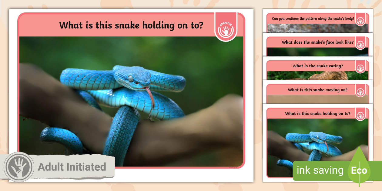 The Year of the Snake Creative Mats (teacher made) - Twinkl