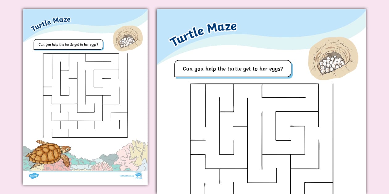 World Turtle Day Maze Activity Sheet | Twinkl - Twinkl