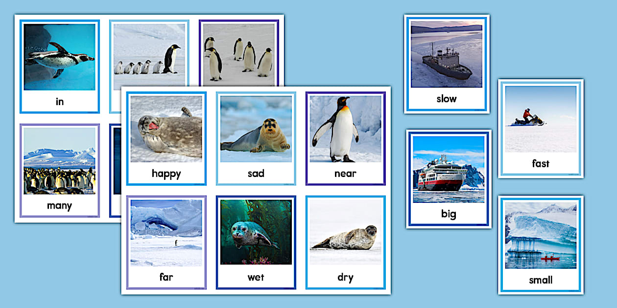 Antarctica Opposites Matching Cards for K-2nd Grade