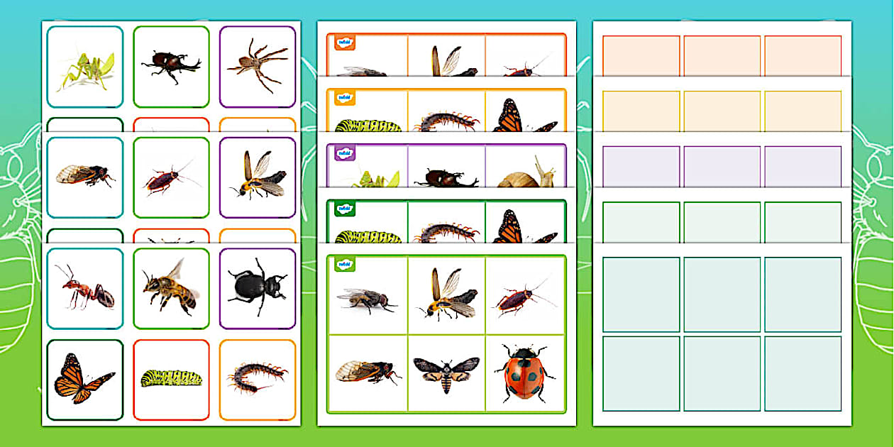 Bug Bingo (teacher made) - Twinkl
