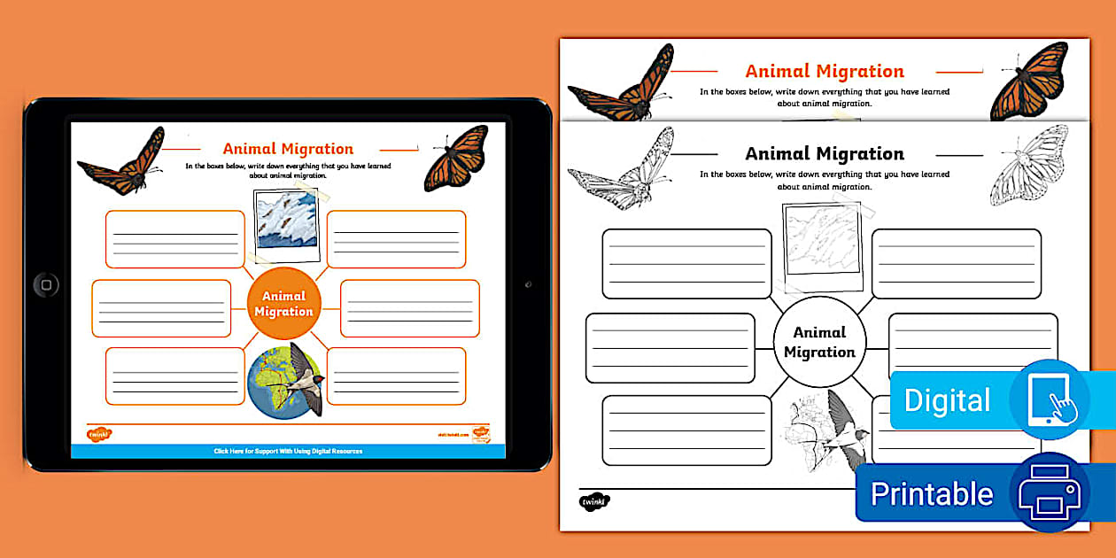 Animal Migration Mind Map for 6th-8th Grade (teacher made)