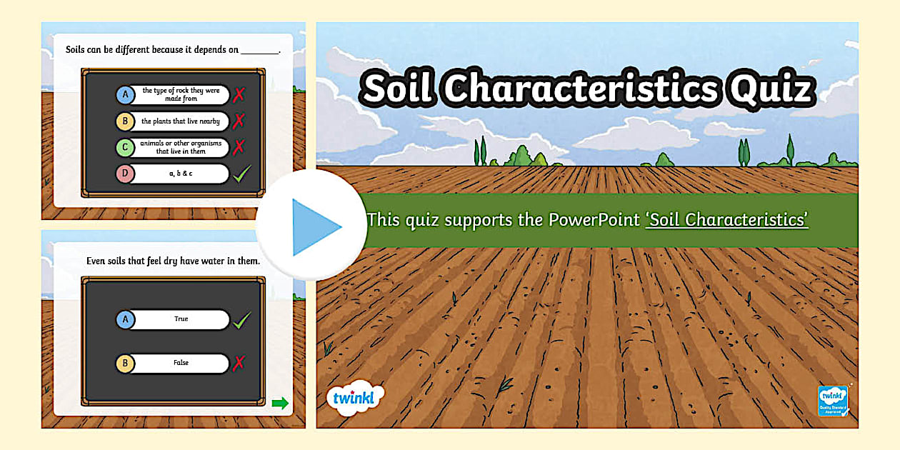 Soil Characteristics Quiz (teacher made) - Twinkl