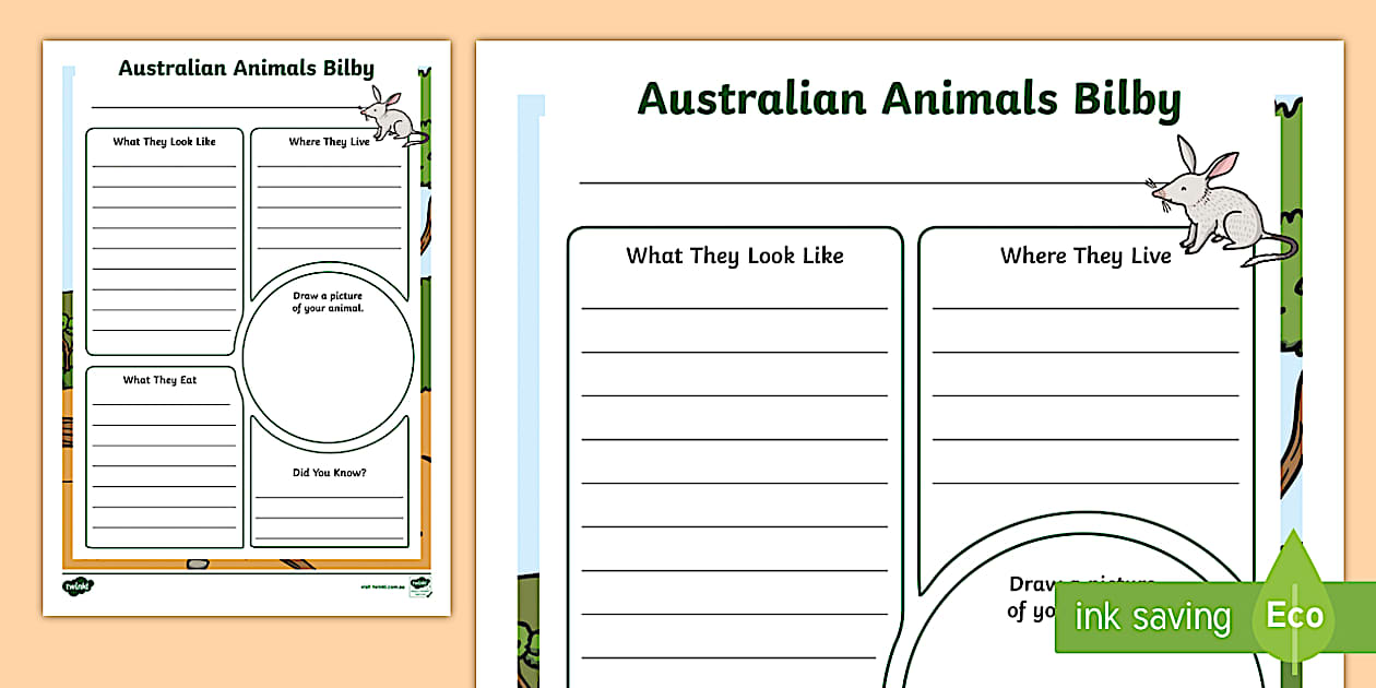 TAS Australian Animals Bilby Information Report Writing Template