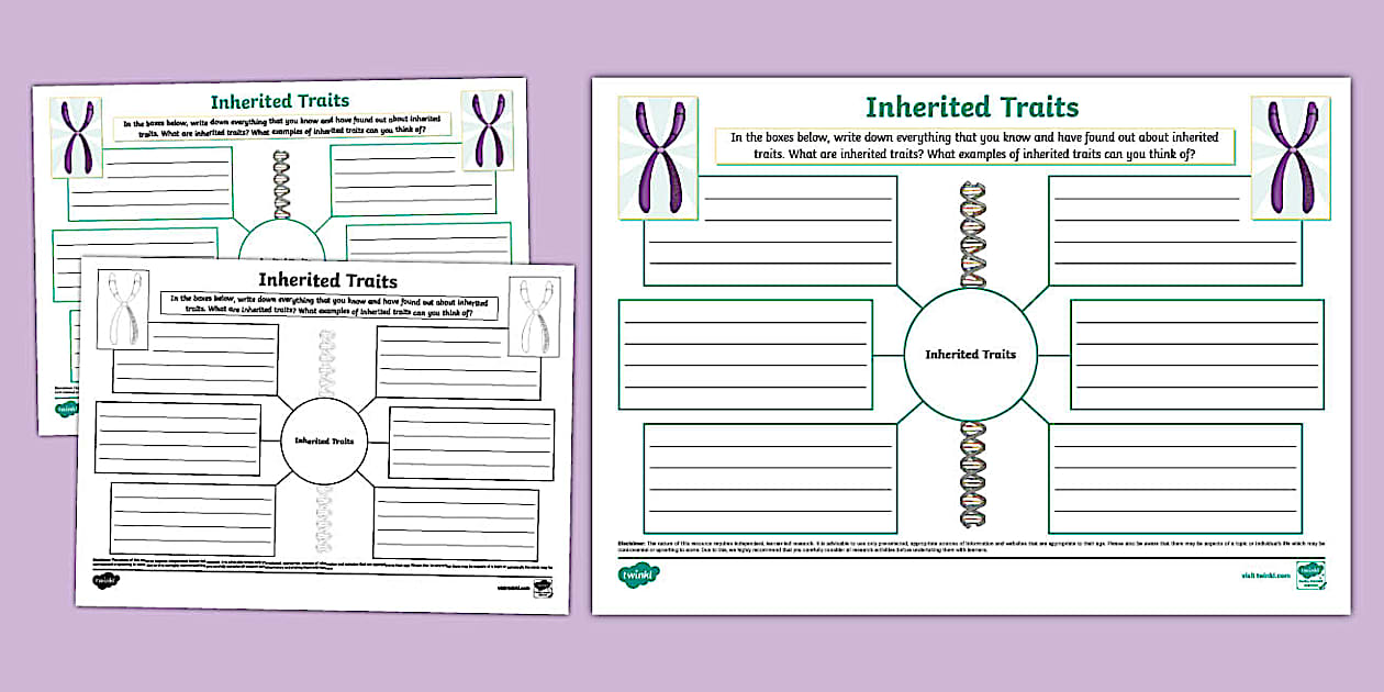 Inherited Traits Mind Map (Teacher-Made) - Twinkl