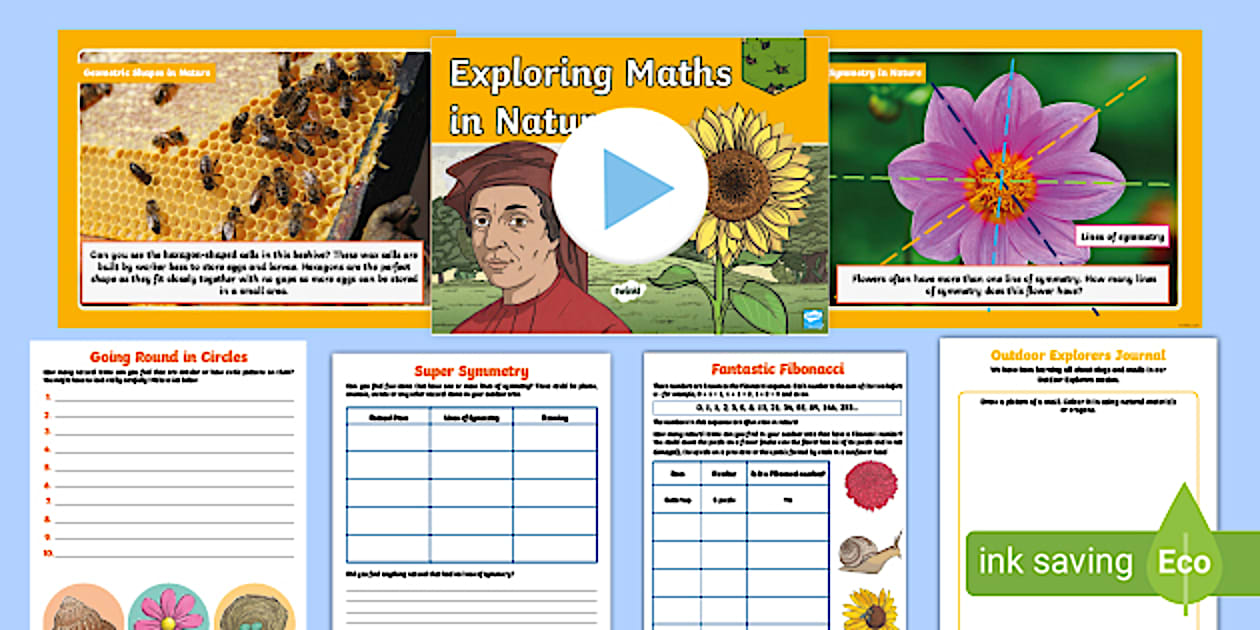 Outdoor Explorers UKS2 Summer Lesson 3 Exploring Maths in Nature