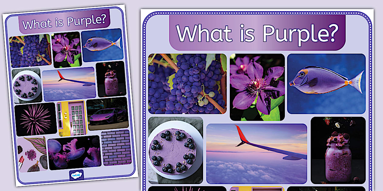 What is Purple? Photo Display Poster (teacher made) - Twinkl