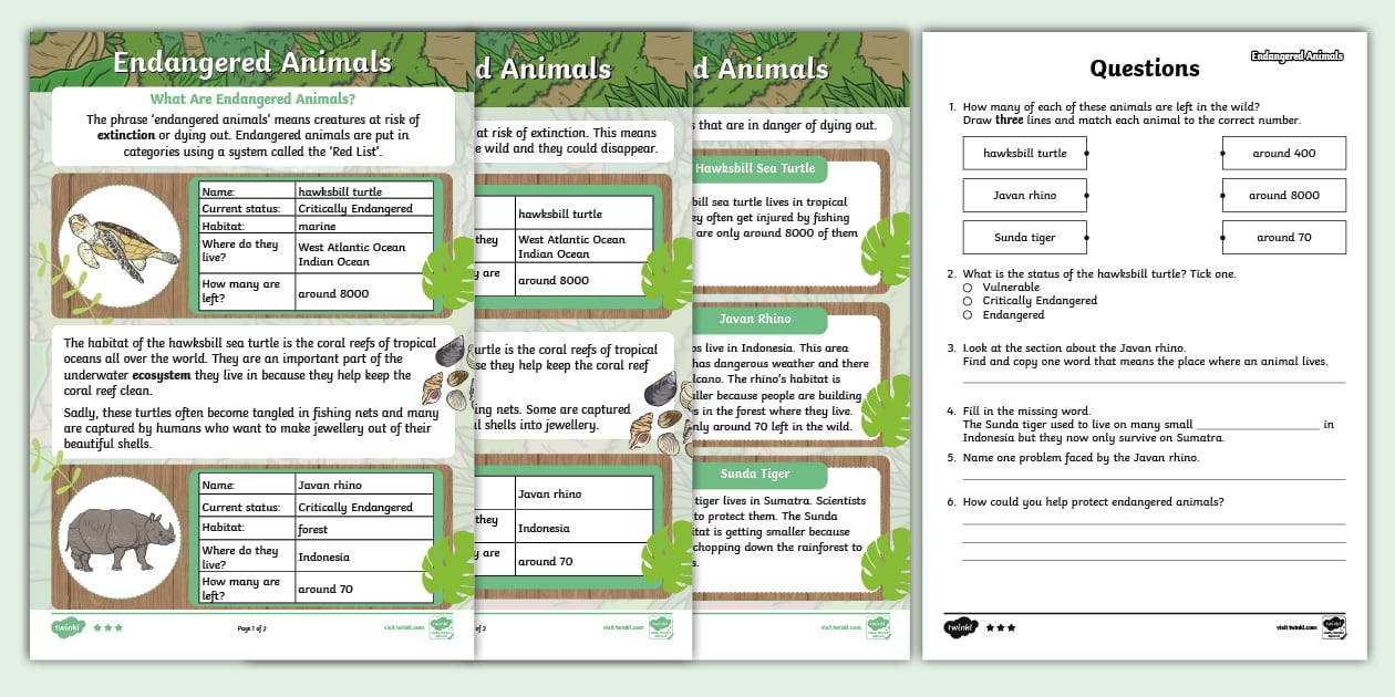 KS1 Endangered Animals Differentiated Reading Comprehension