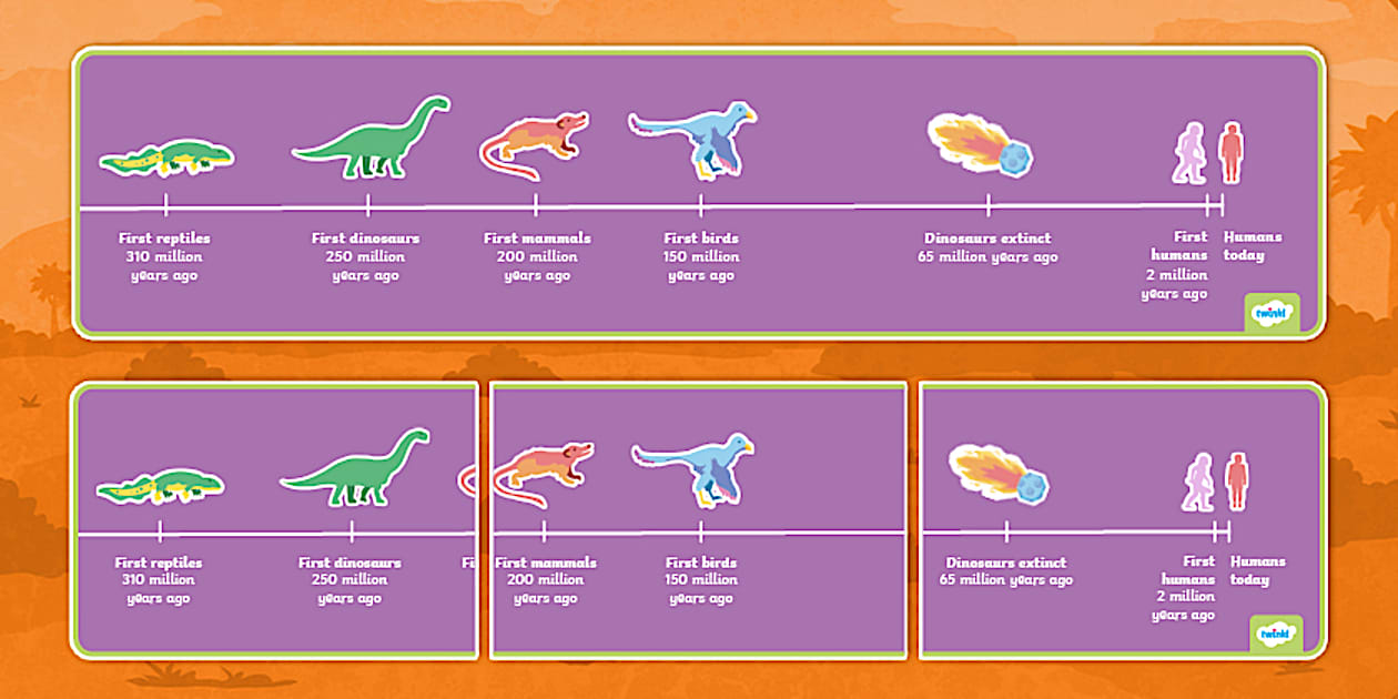 Dinosaurs Timeline Poster | Twinkl Originals (teacher made)