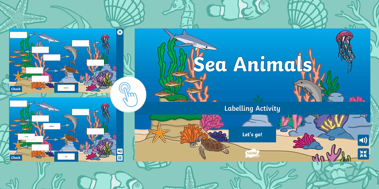 * NEW * Sea Animals Interactive Labelling Activity - Twinkl