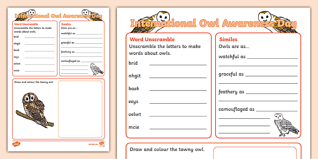 KS1 International Owl Awareness Day Boredom Buster - Twinkl