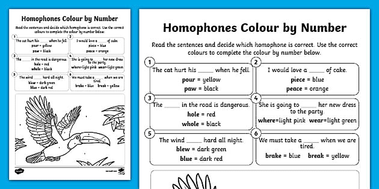 Homophone Colour by Number Activity Twinkl (teacher made)