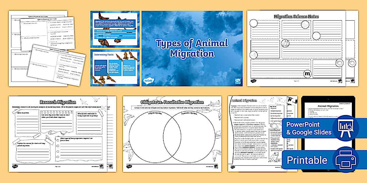 Migration Lesson Pack for 6th-8th Grade (teacher made)