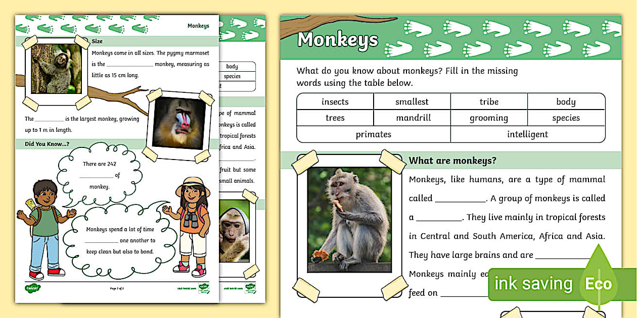 Monkeys Cloze Worksheet (Hecho por educadores) - Twinkl