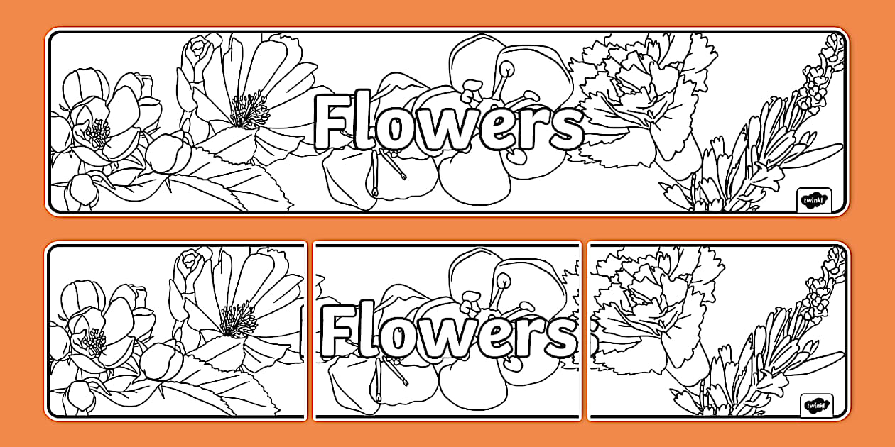 Flowers Colouring Display Banner (teacher made) - Twinkl