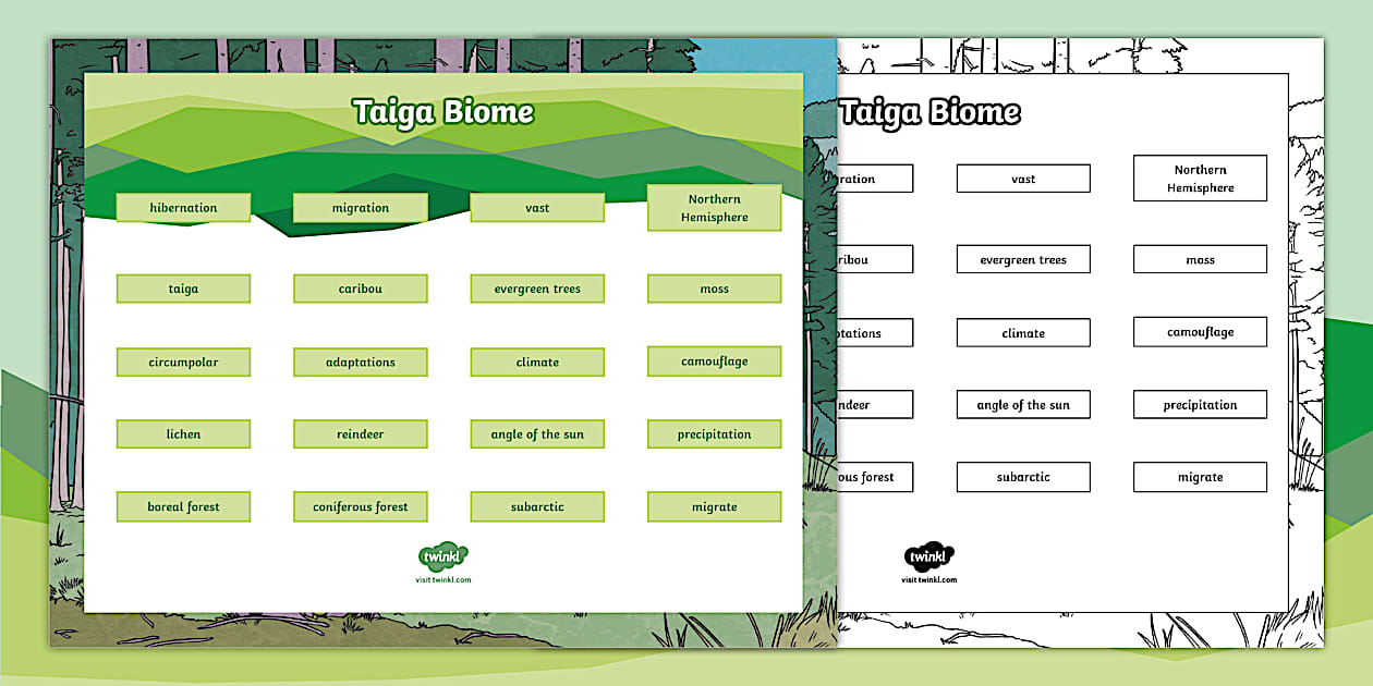 Taiga Biome Vocabulary Mat (teacher made) - Twinkl
