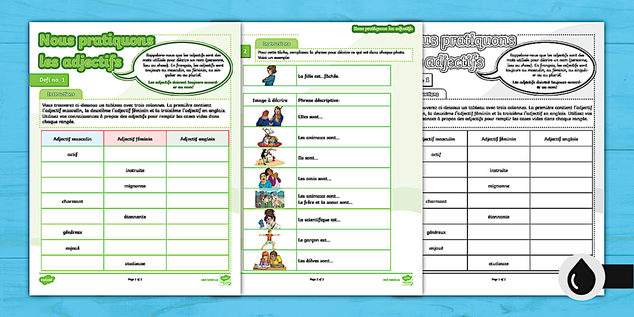 Practicing Adjectives Grades 6-8 French