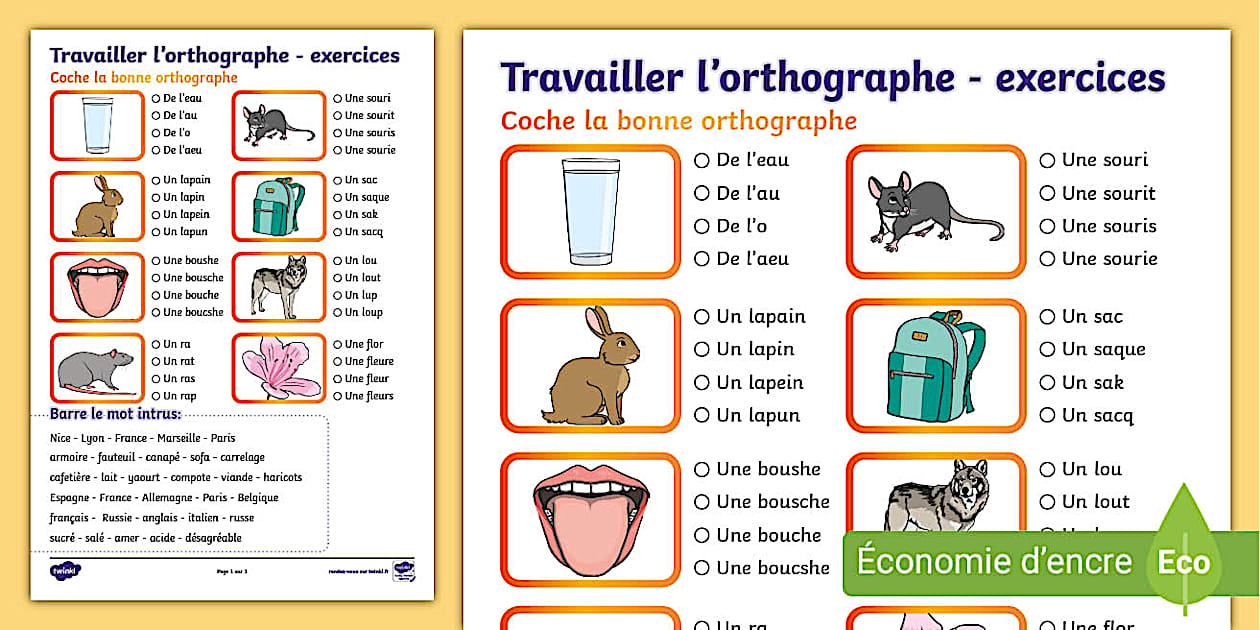 Travailler l'orthographe - exercices (teacher made) - Twinkl