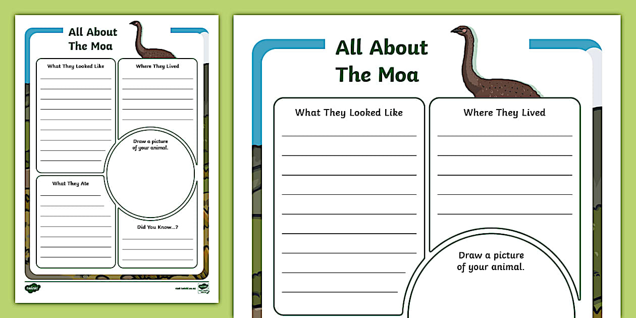 Year 3-4 Native Bird Report Writing - Moa