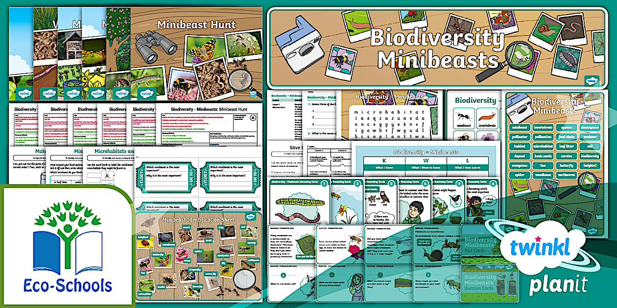 Science: Biodiversity - Minibeasts: Unit Pack Year 2