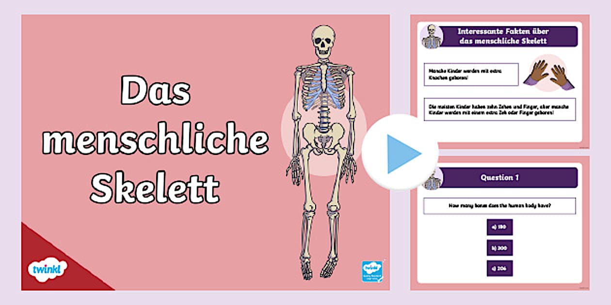 The Human Skeleton Fun Facts - German PowerPoint - Twinkl