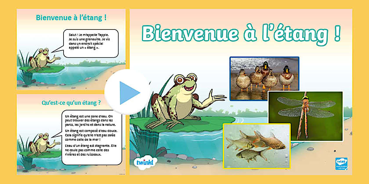 PowerPoint sur la vie dans l'étang pour la maternelle