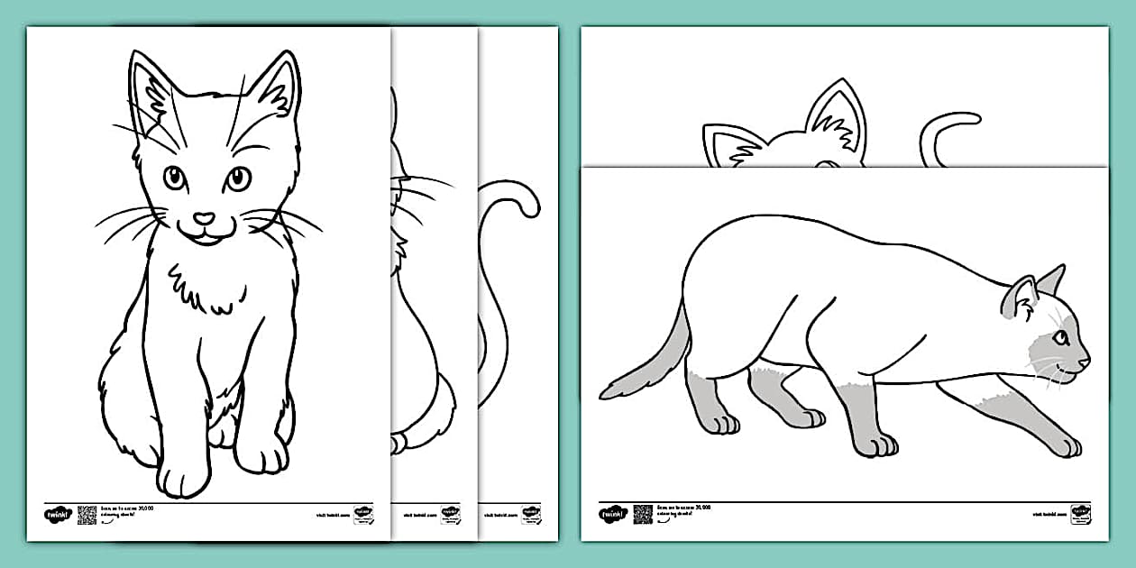 Printable Cats Colouring Sheets | Parents Support - Twinkl